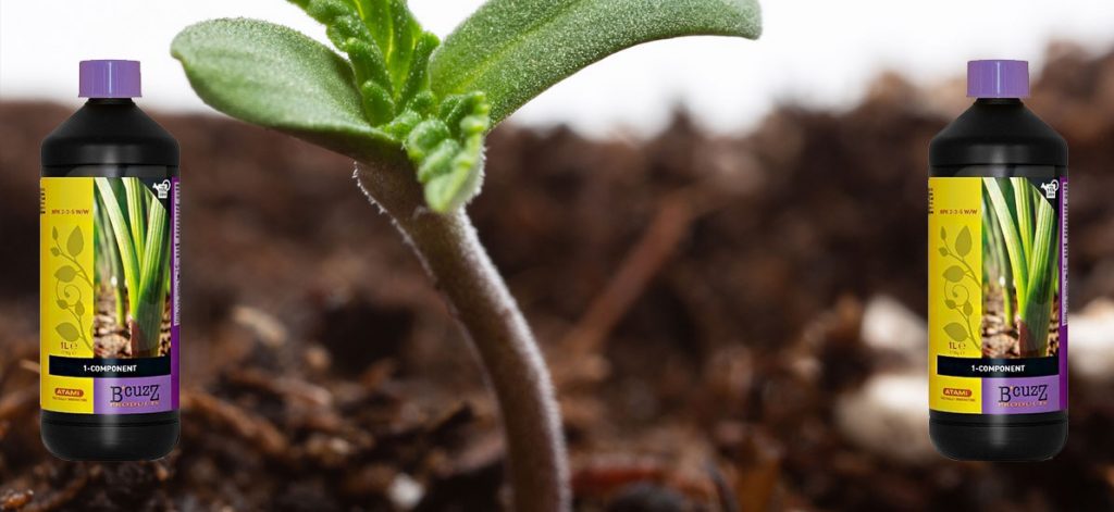 What is 1 Component Soil? Fertilizer for cannabis cultivation