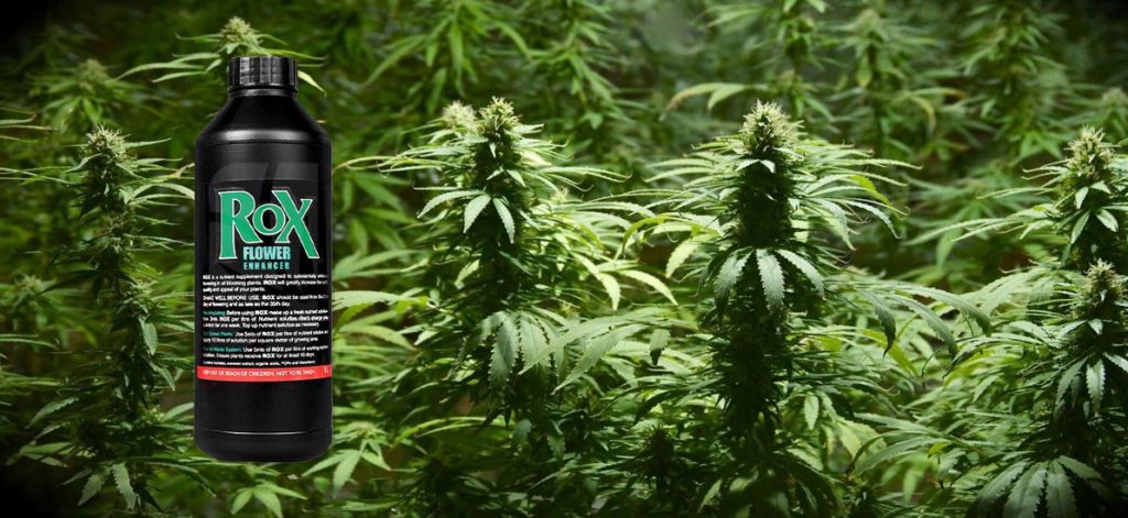 como se usa rox 1 - Blog Hydroponics Blanes